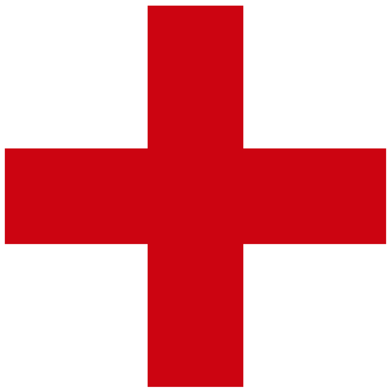 Entrevistas – Carlos Morett